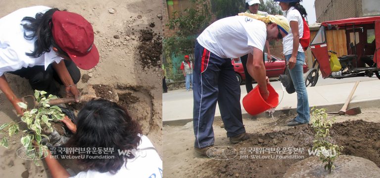 Clean World Movement by Lima Branch, Peru: Tree Planting Campaign - 국제 ...