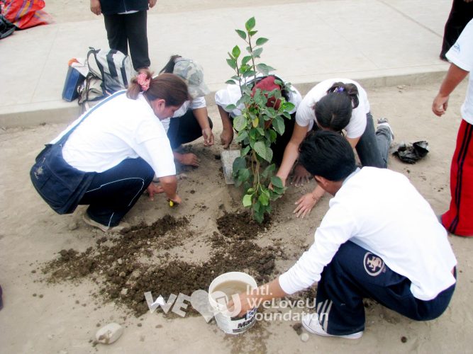 Clean World Movement by Lima Branch, Peru: Tree Planting Campaign - 국제 ...