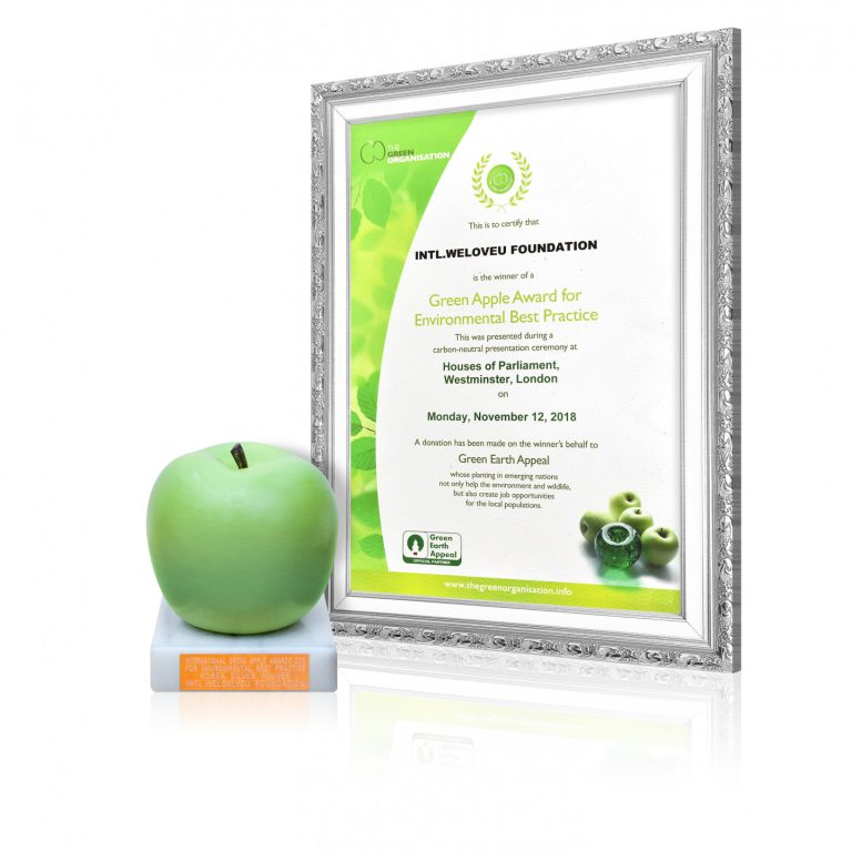The Intl. WeLoveU Foundation Honored with the Green Apple Award - The ...